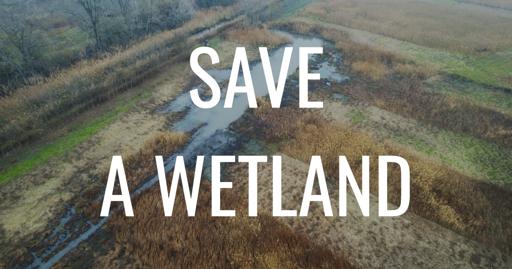 YOU HELPED US SAVE THE WETLAND